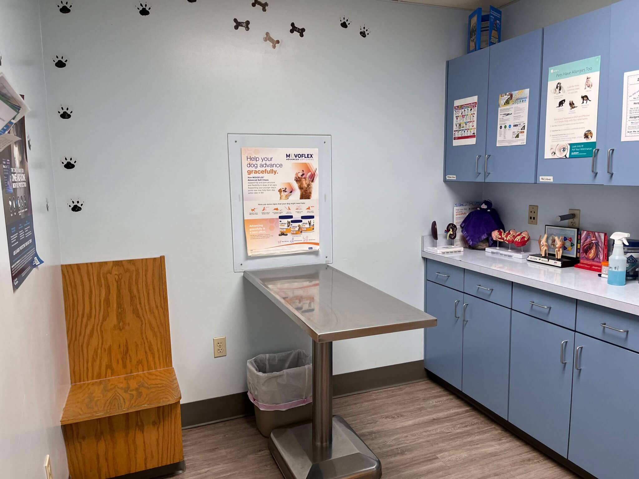 Veterinary Care in Bealeton, VA | Compassion Animal Hospital ...