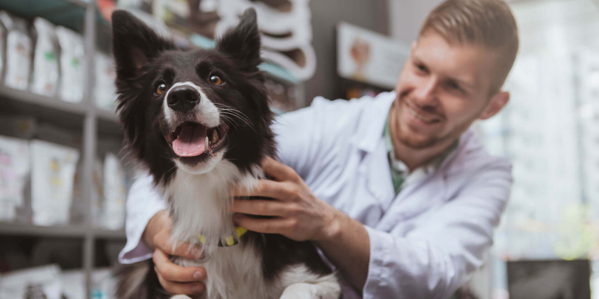 Raving Testimonials | Compassion Animal Hospital